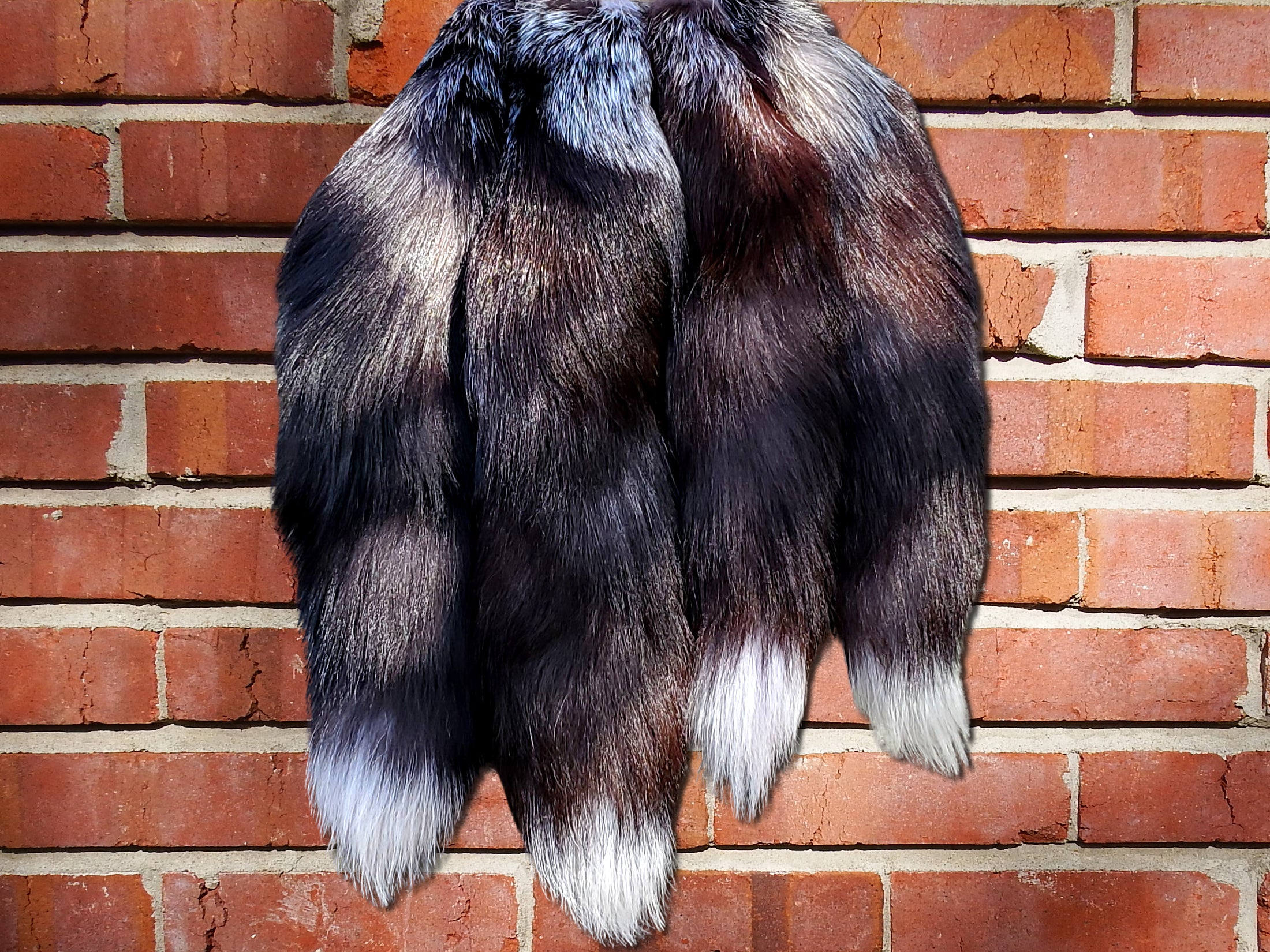 Real Silver Fox Tail Keychain, Antenna Topper, Mirror Hanger, Therian – Roadkill Customs